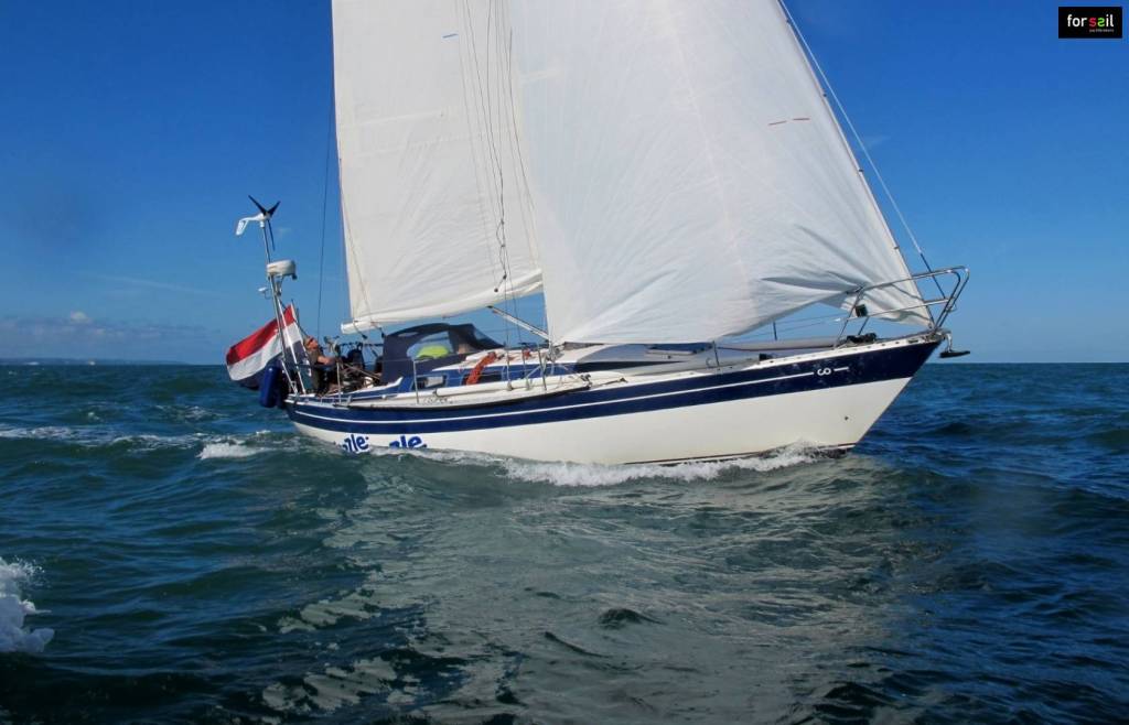 CONTESSA 35 TE KOOP | CONTESSAZEILERS BENELUX